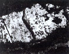 The age of Australian uranium