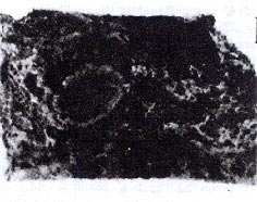 The age of Australian uranium
