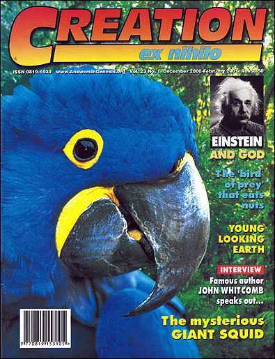 Focus 23(1) - Creation magazine