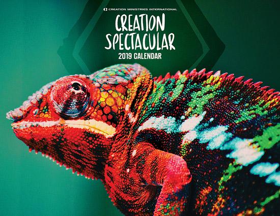 Spectacular 2019 Creation Calendar - creation.com
