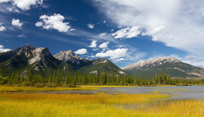 Stromatoporoids oil Alberta Canada