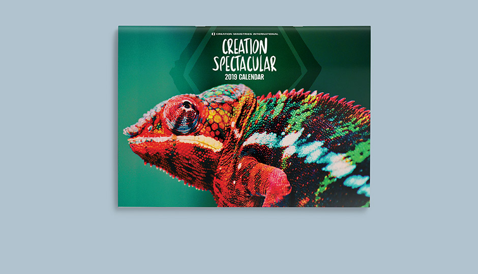 Spectacular 2019 Creation Calendar