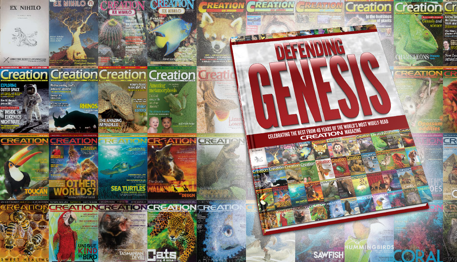 Defending Genesis is popular!