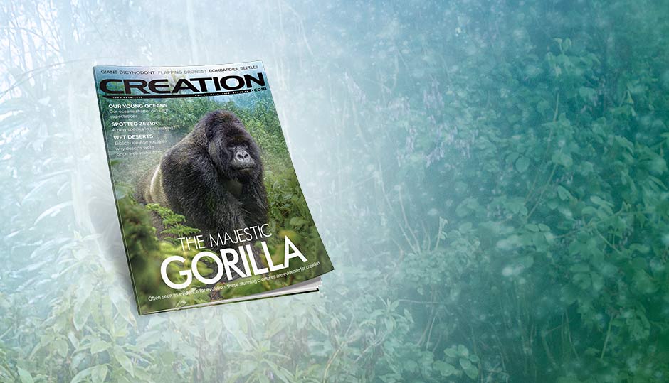 Creation magazine: like a guided tour