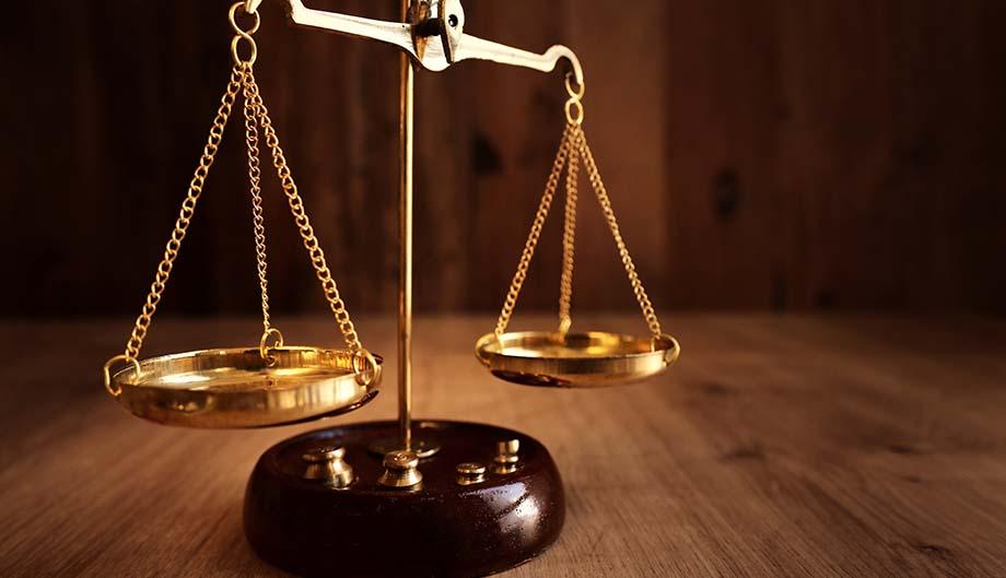 Creation | Creation Ministries International