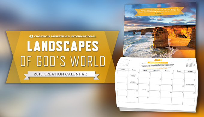 2015 creation calendar